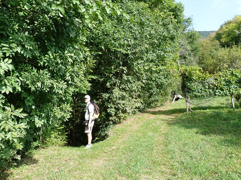Alla Panchina Gigante di Fregona Borgo Luca