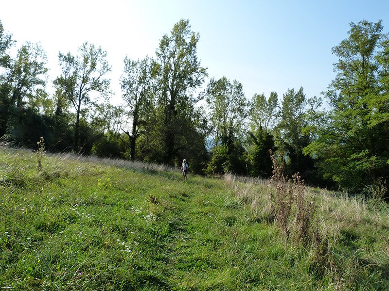 Alla Panchina Gigante di Fregona Borgo Luca